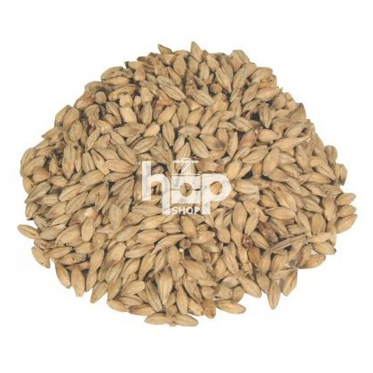 Malted Grains | Malt | Malted Barley | Home Brew